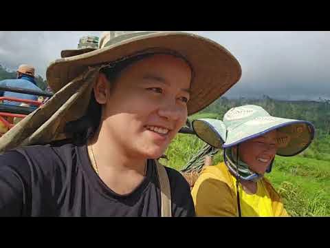 hnub no nrog peb mu ua teb seb muas tag nawb 2024 - YouTube