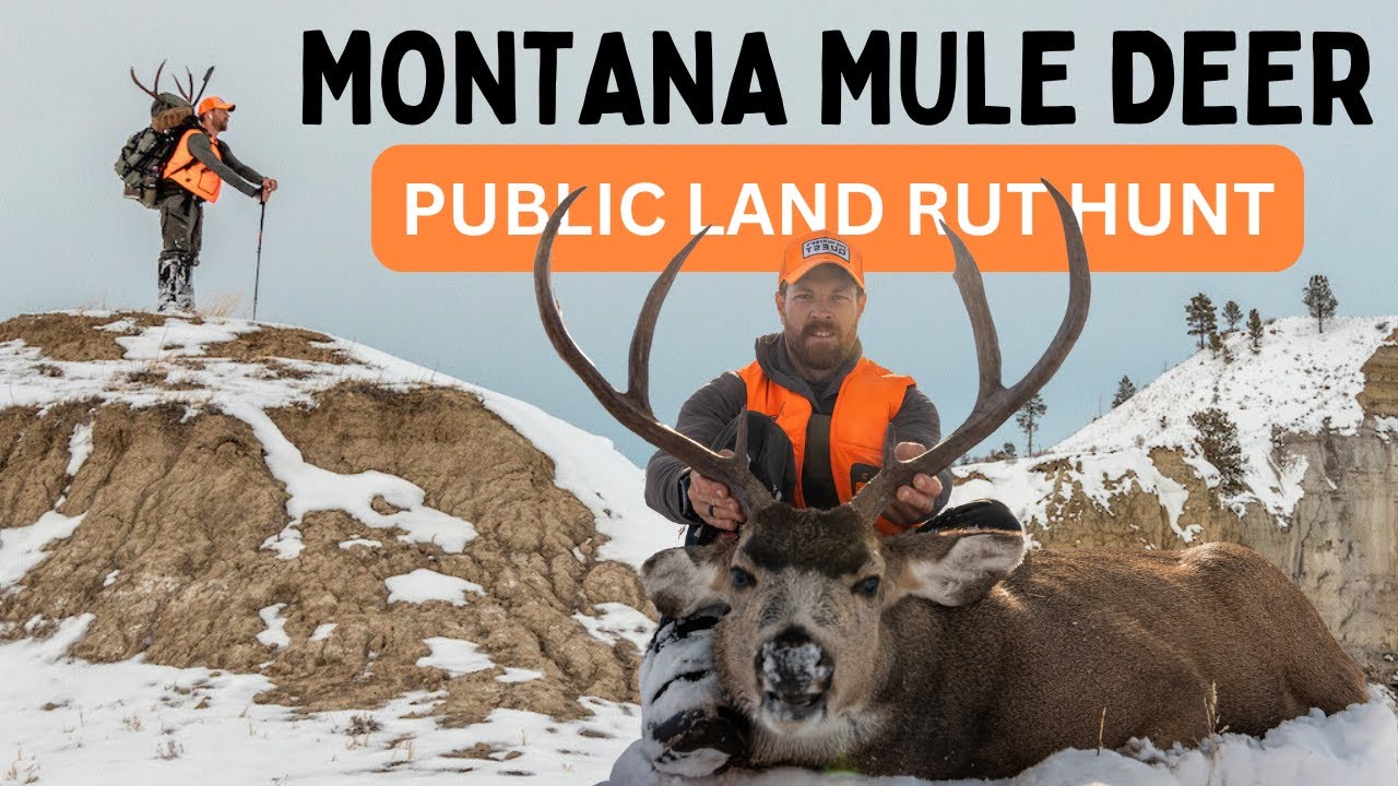 -25º Public Land Mule Deer Rut Hunt - YouTube