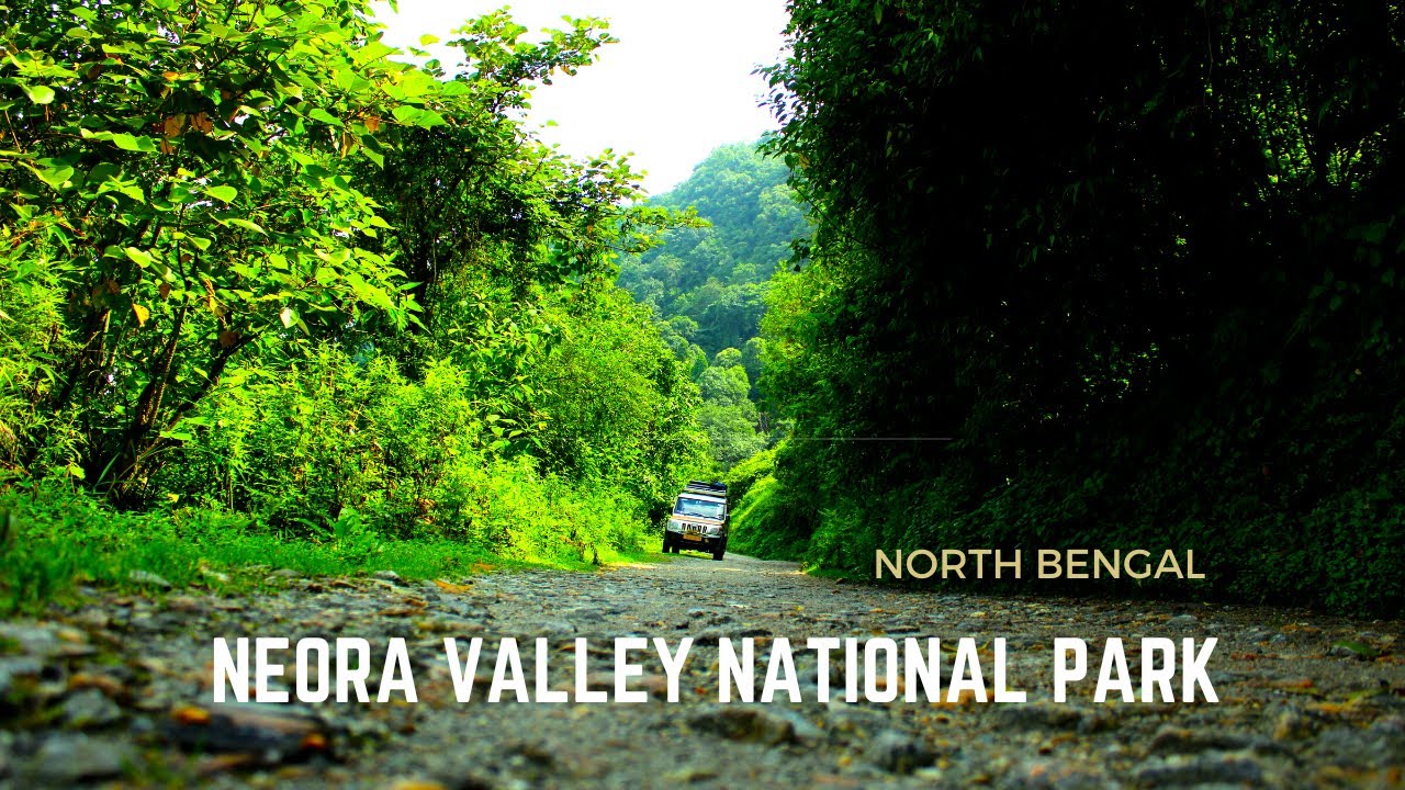 Neora Valley National Park | Neora Valley Jungle Camp | Neora Valley ...