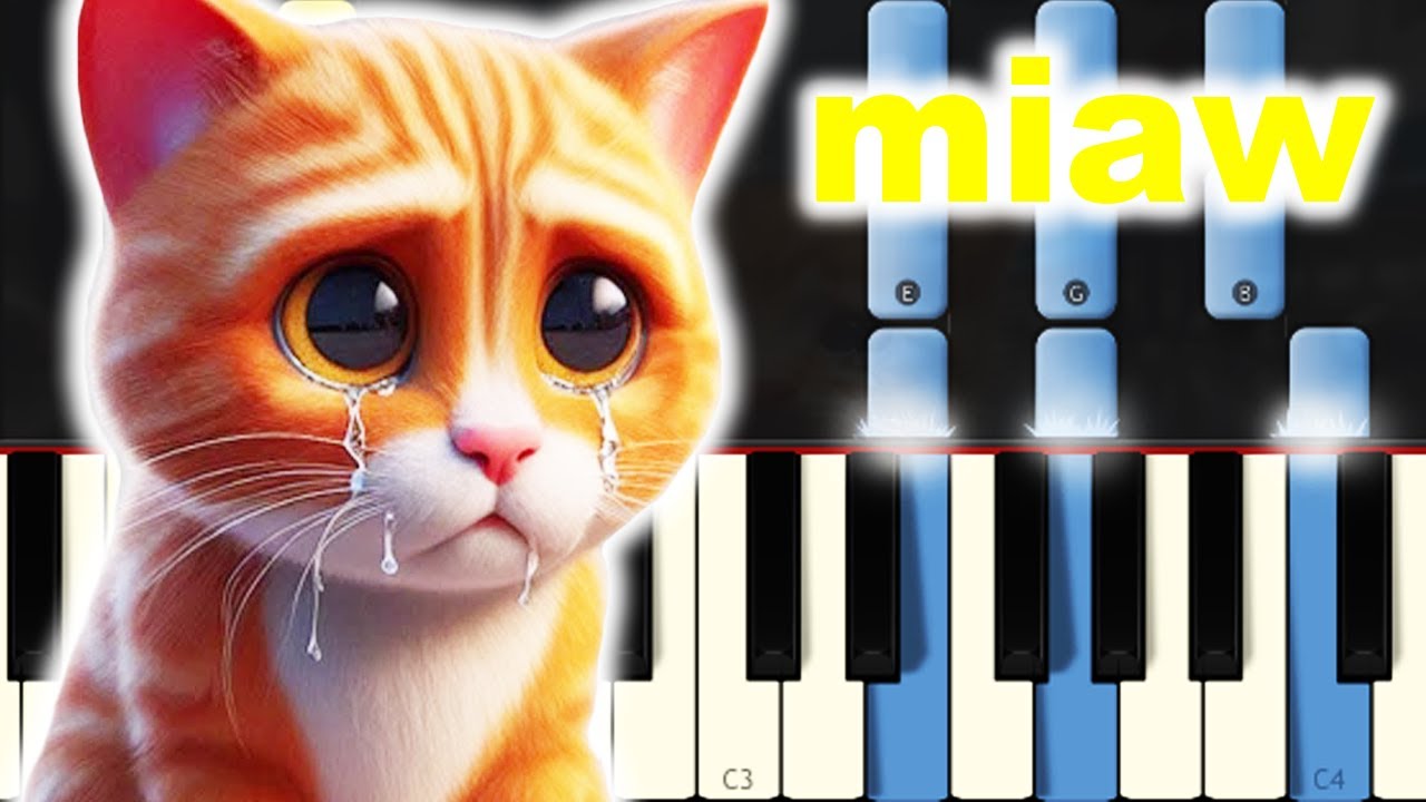 Miaw Miaw Miaw - Piano Tutorial - YouTube