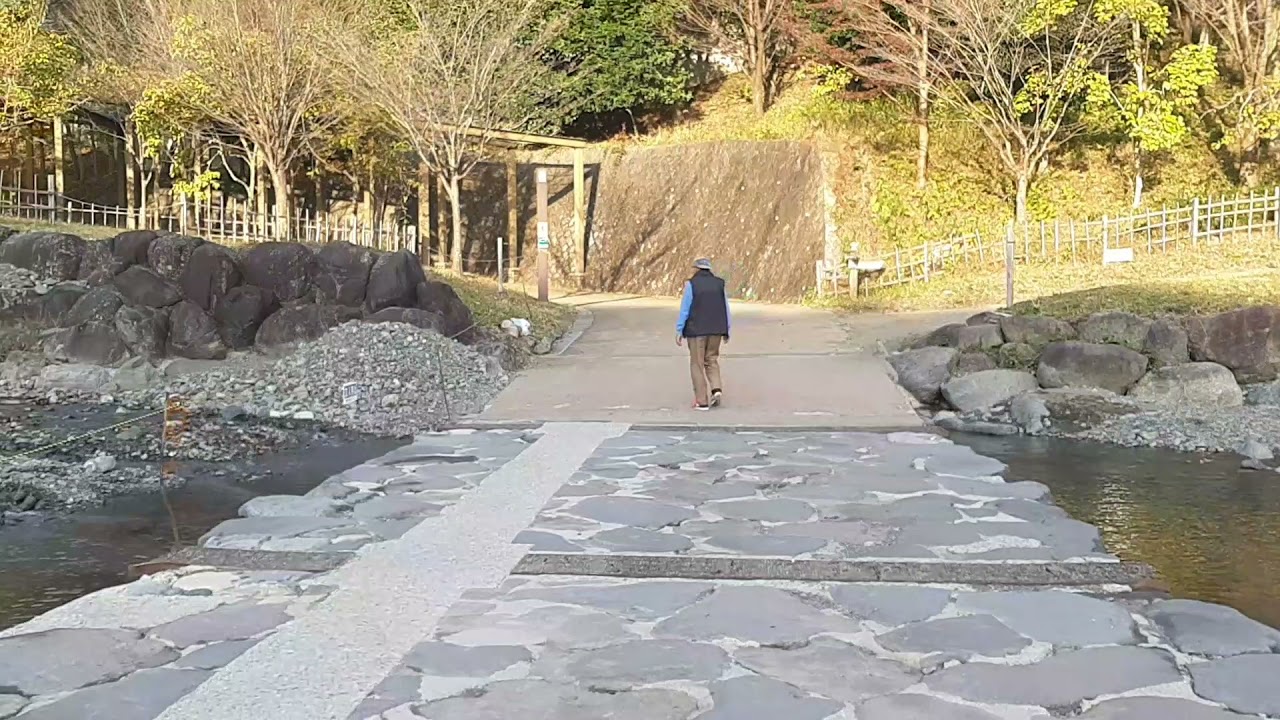 Tokawa park Hadano. Hidden beauty in Kanagawa prefecture, Japan. - YouTube
