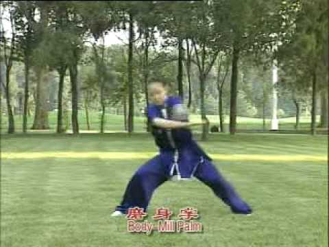 Bagua Training Program, Complete Form Part 8 - YouTube