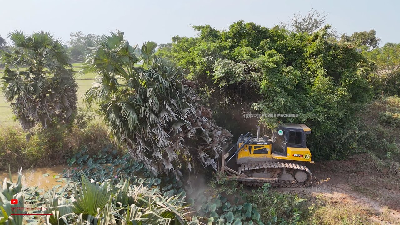 Wonderful Technical Collapse Palm Trees Skills Operator Bulldozer Us ...