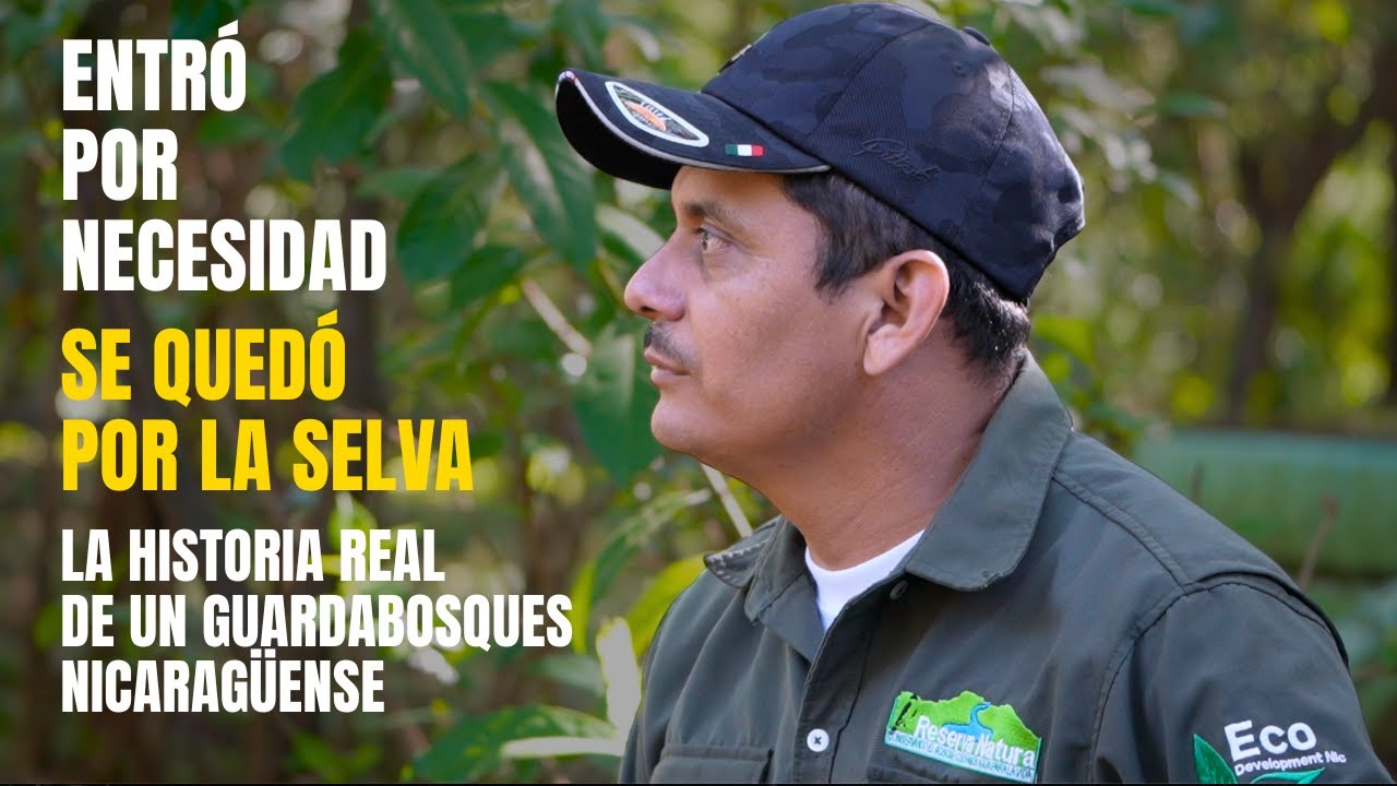 Guardabosques Verde