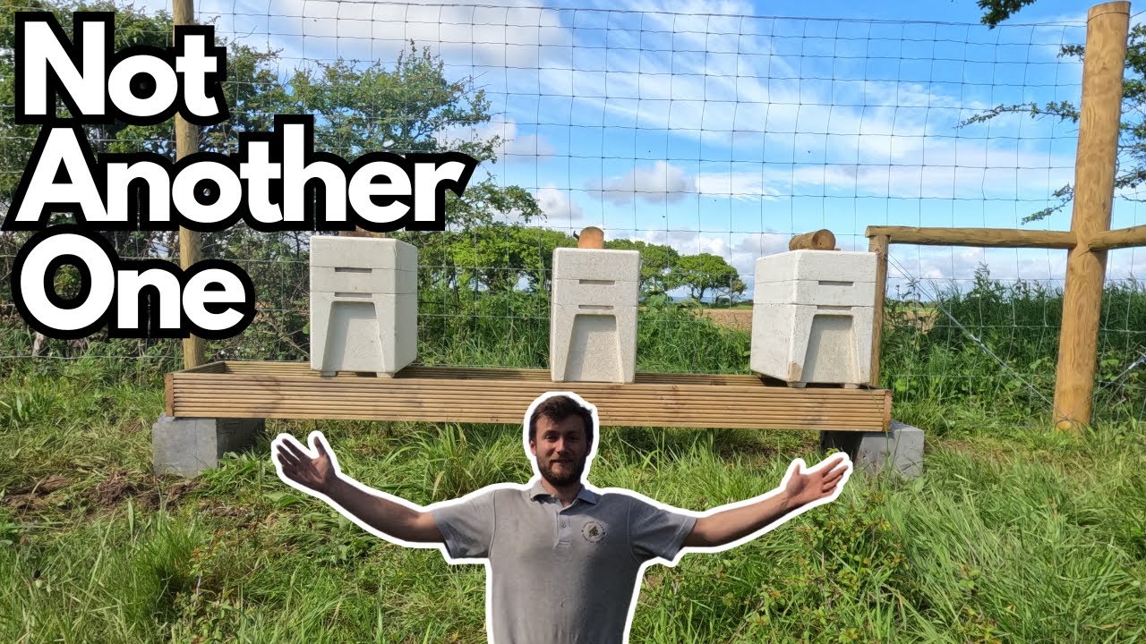 Not Another One?! - YouTube