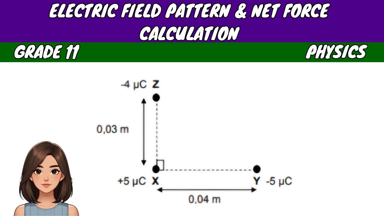Electric Field Pattern and Net Force Calculation (Grade 11 Physics ...