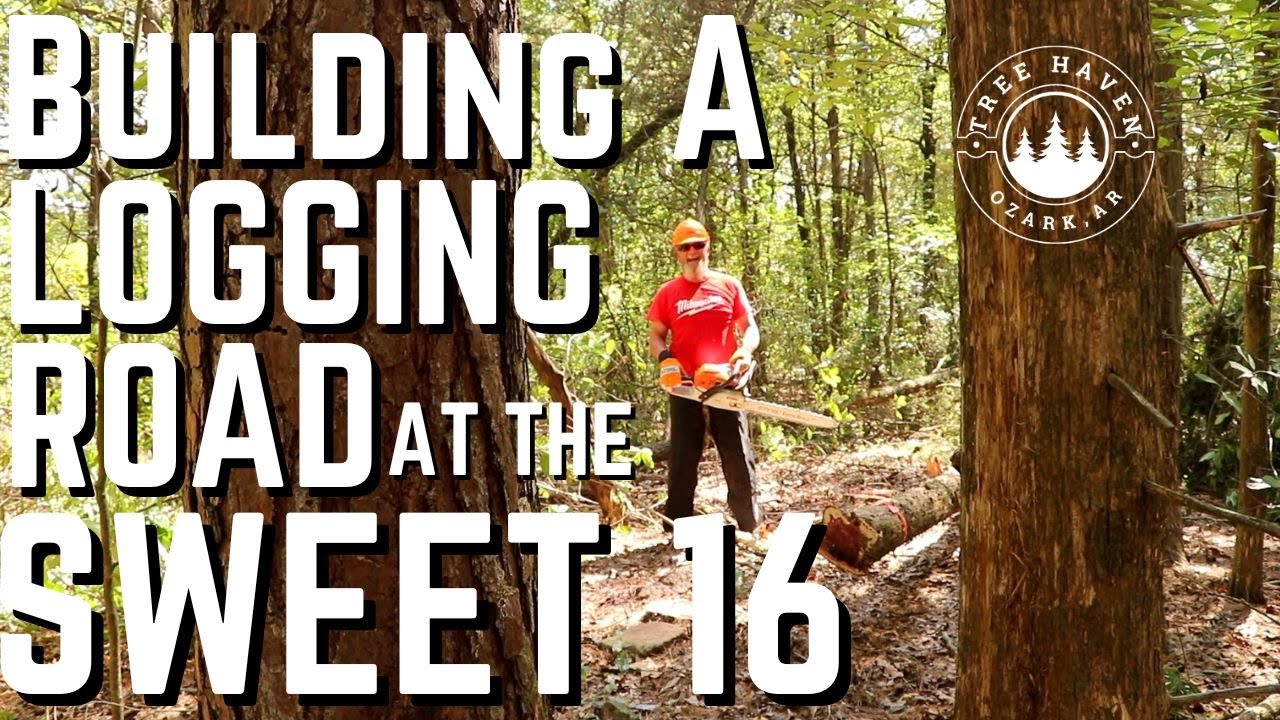 Building A Logging Road At The Sweet 16 | Cutting Trees With A Stihl ...
