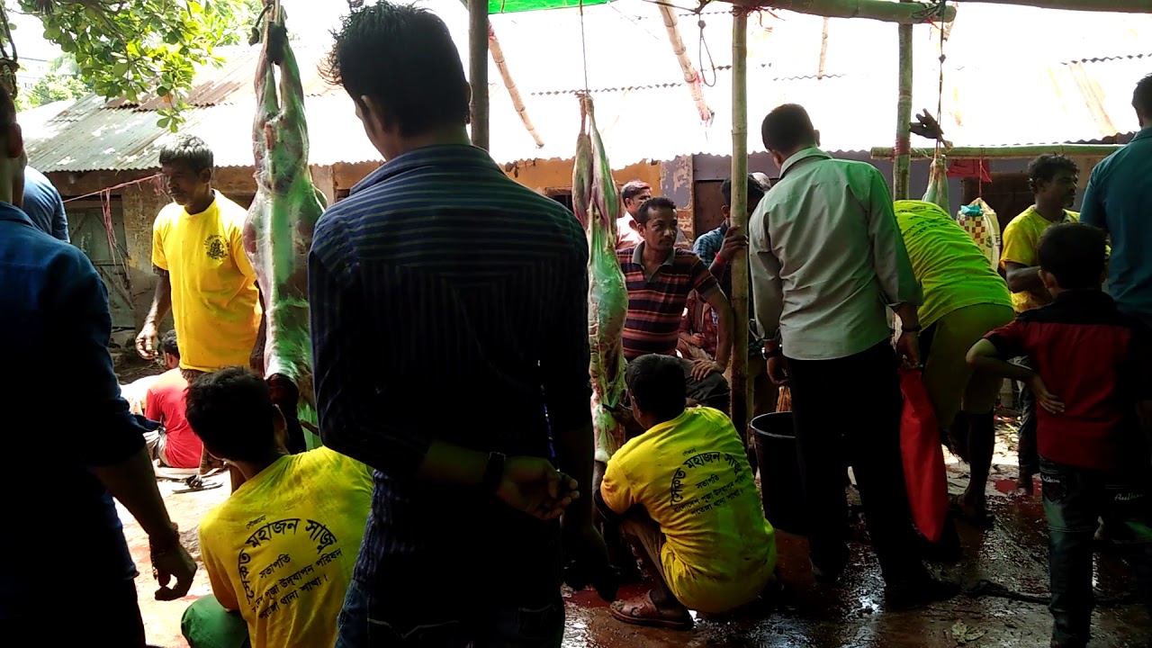 monsha puja patha boli in Chittagong - YouTube
