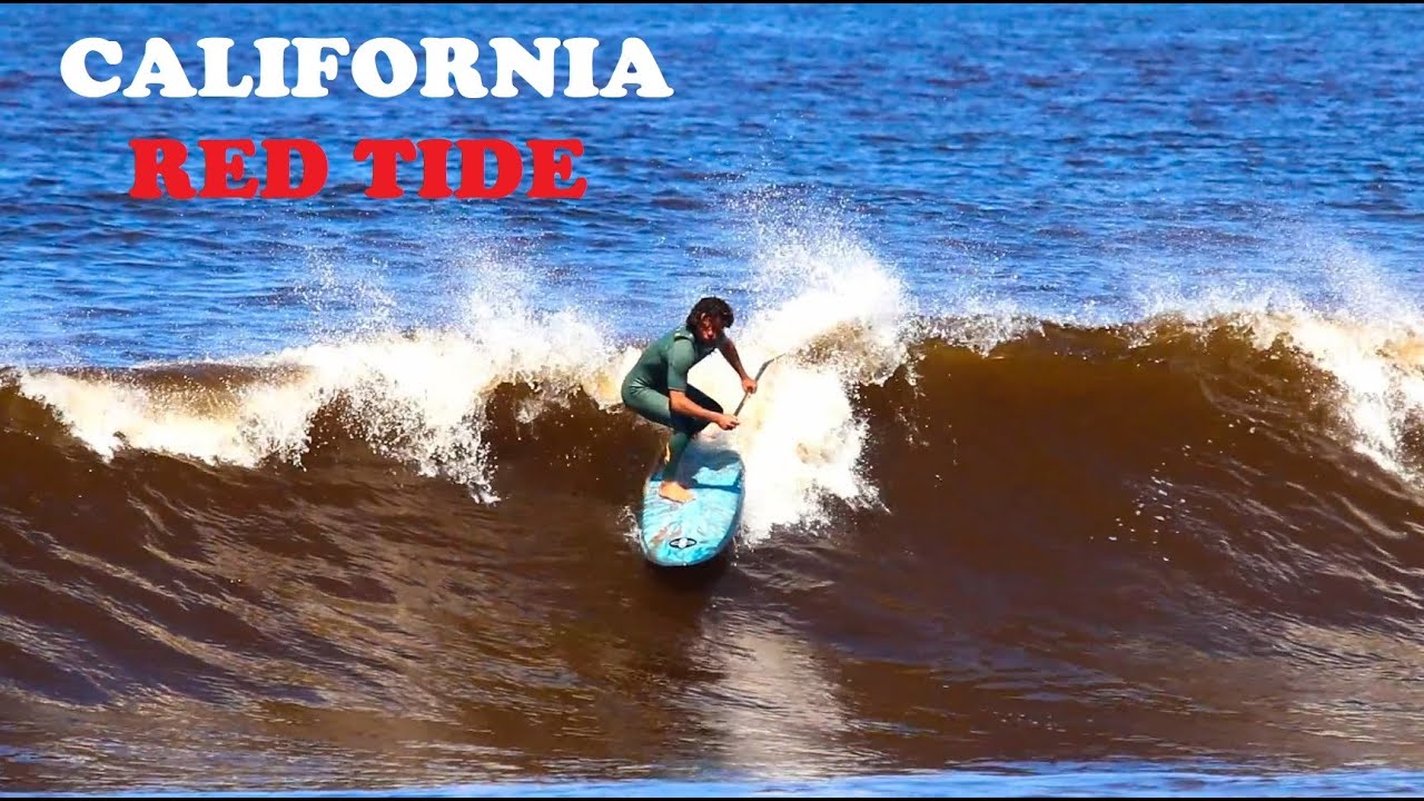 SUP Surfing - Southern California RED TIDE - YouTube