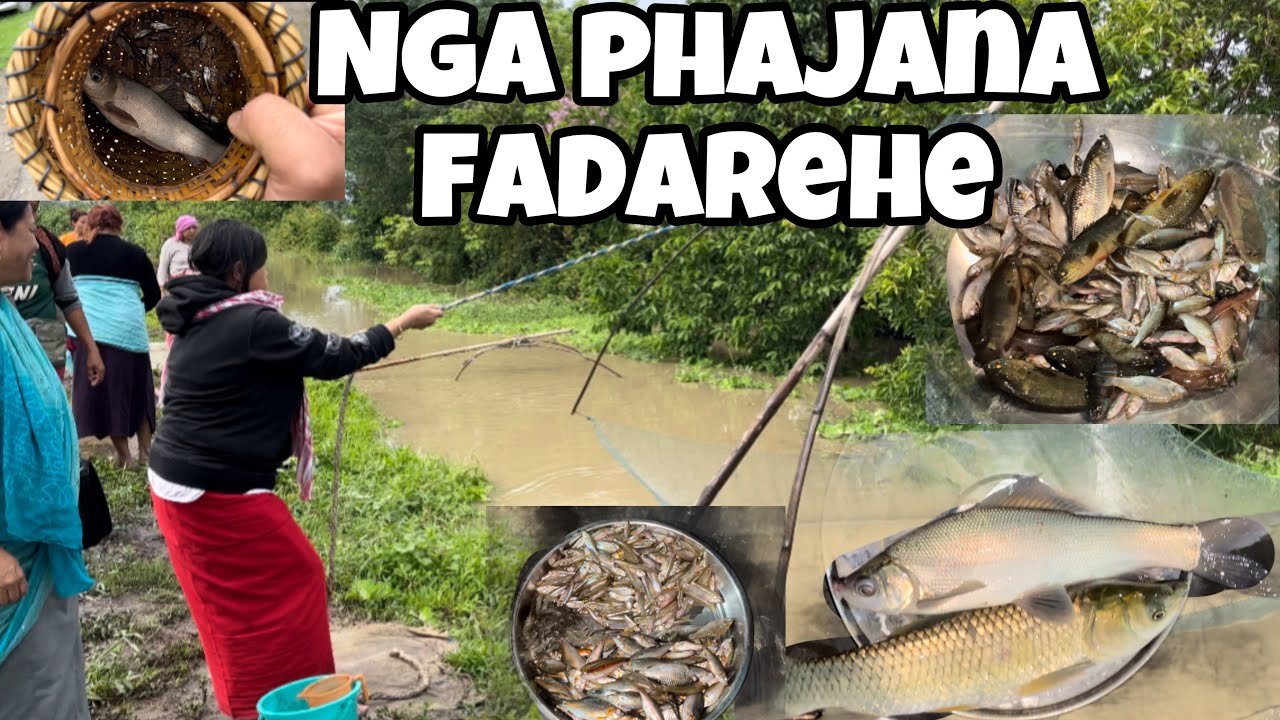 # NGA (FISH) phajana phanarehe mayam 😧😧 - YouTube