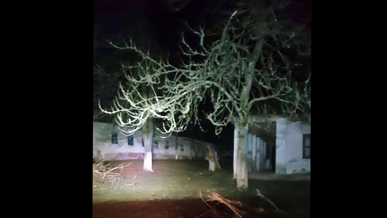 Dracula's ghosts in Transylvania | fear, scared, scary - YouTube