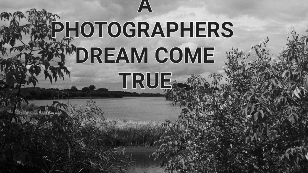 FILM PHOTOGRAPHY. NIKON F NIKKOR 55MM 3.5 MICRO 1963 VERSION. ILFORD ... FILM PHOTOGRAPHY. NIKON F NIKKOR 55MM 3.5 MICRO 1963 VERSION. ILFORD ...