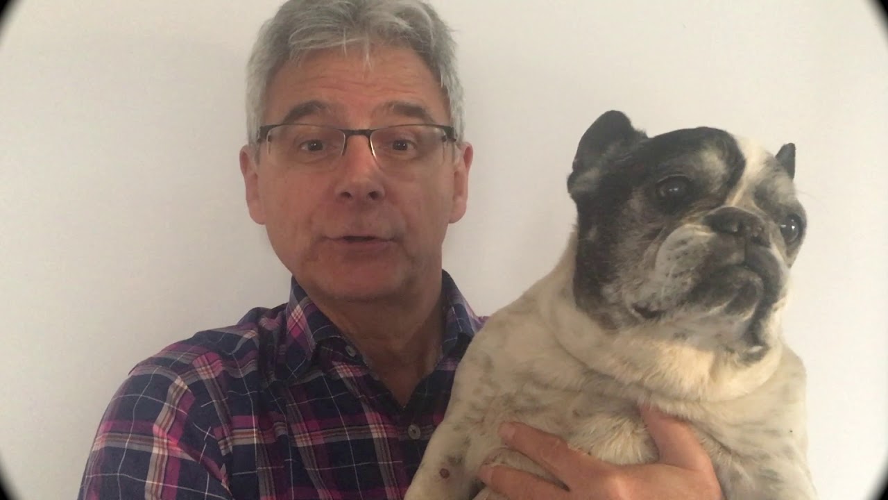 Interviews Fas & Vet - YouTube