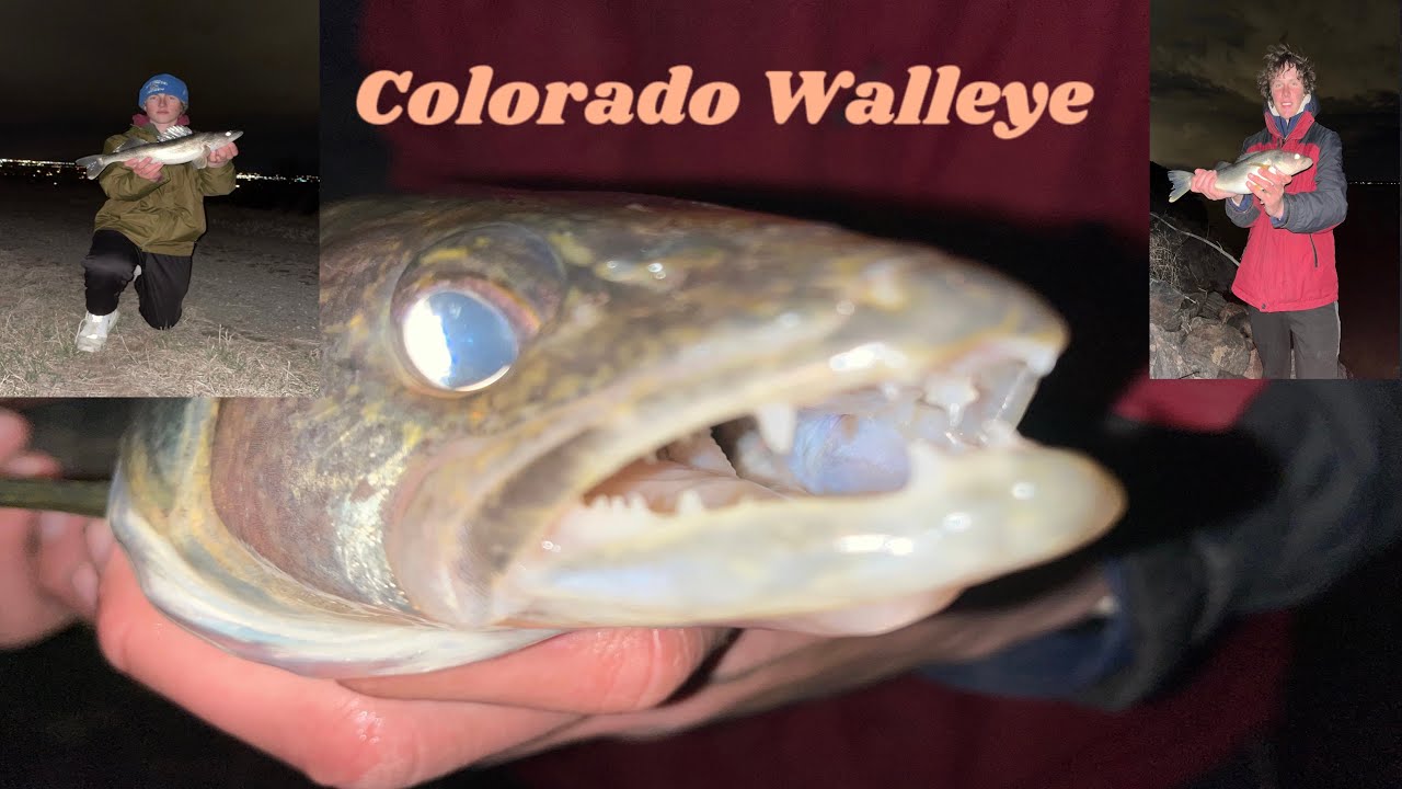 Open Water Is Here And So Are The Walleye - Fishing one of Colorado’s ...