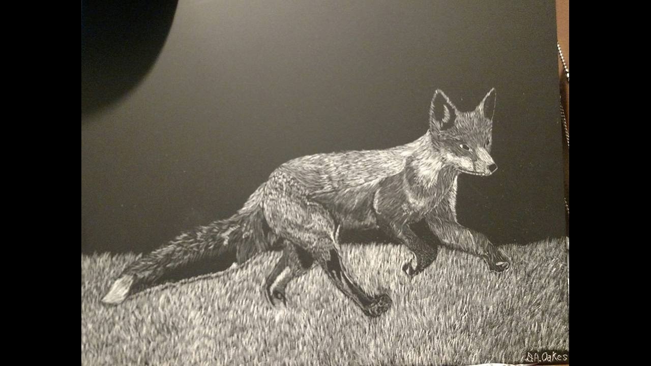 Speed Scratch Art - Fox - YouTube
