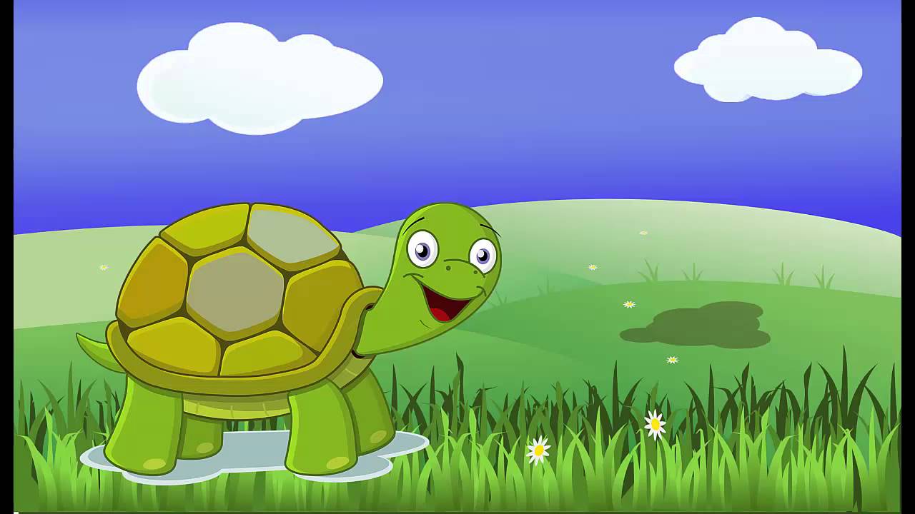 Mr Turtle - 1 Hour Repeat - YouTube