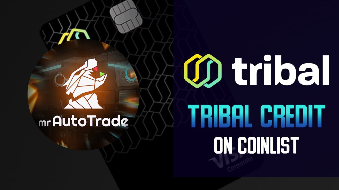 TRIBAL CREDIT: Crypto-Powered Financial Services for SMBs - YouTube