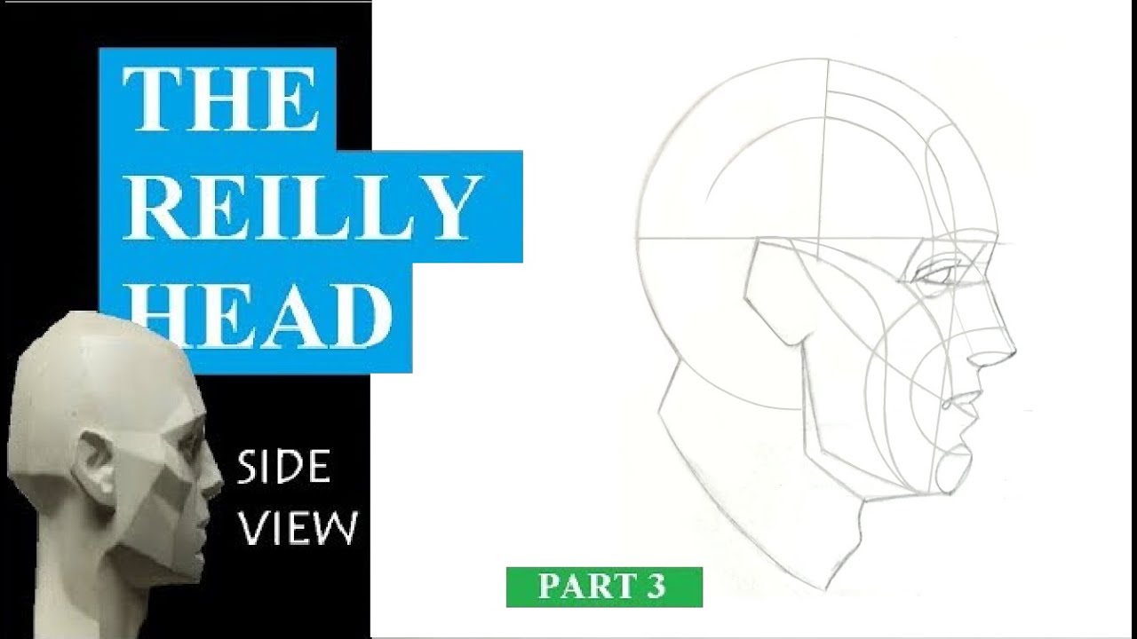Reilly Head Abstraction Part 3 - Head Drawing The Profile - YouTube