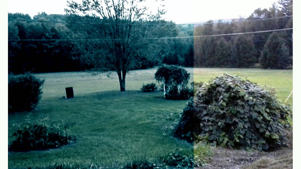 Country Home on 8 Acres in Clarence PA - YouTube