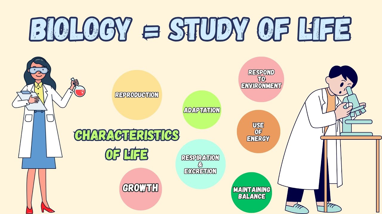 What Is Biology? | 7 Characteristics of Life Explained Simply 🌿 - YouTube