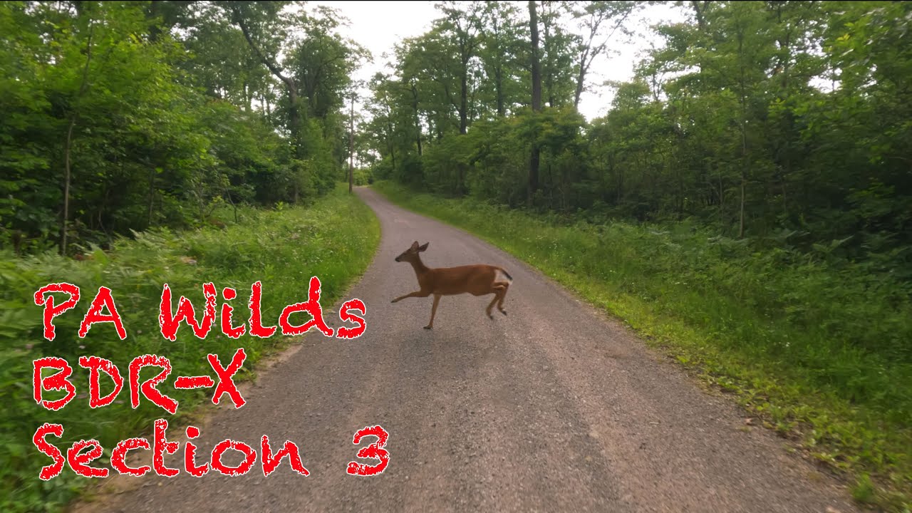 PA Wilds BDR-X Section 3 - YouTube
