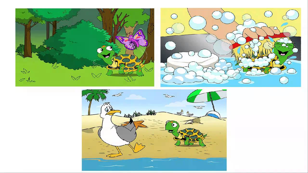 Turtle Tom Books Promo - YouTube