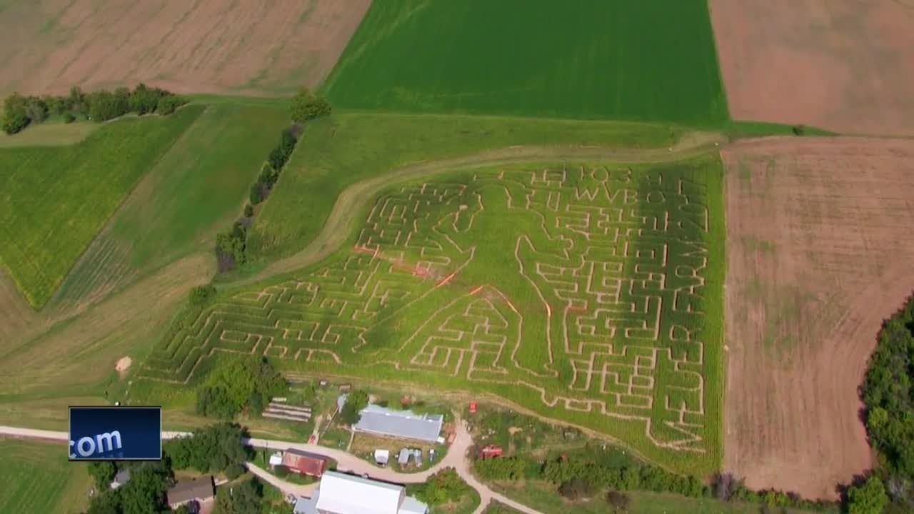 Wisconsin corn maze honors music legend with impressive design - YouTube