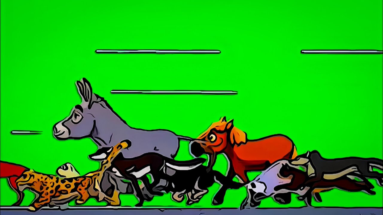 Cartoons animals fun running | Cartoon animals stampede - YouTube