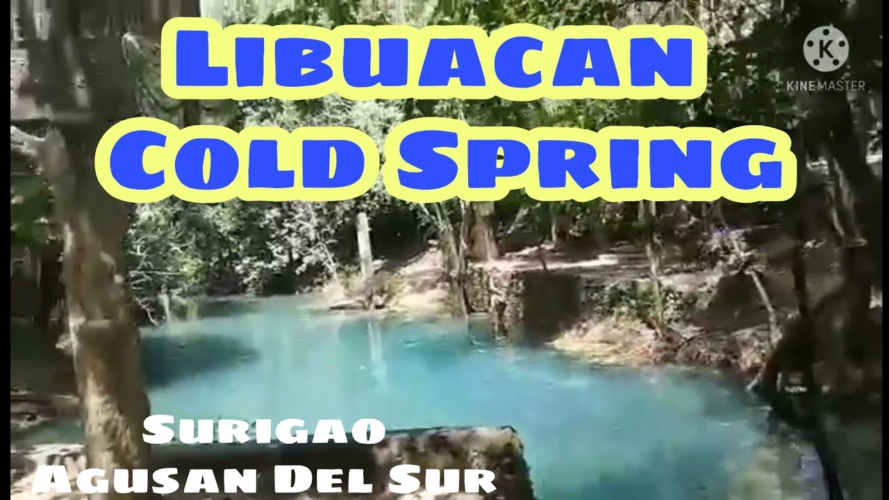 Libuacan Cold Spring in Tagbina, Agusan Del Sur | #libuacancoldspring # ...
