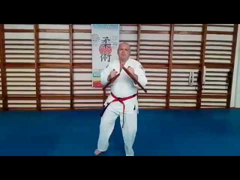 KATA TONFA- KYUSHOSHIN JU JUTSU ROMANIA - YouTube