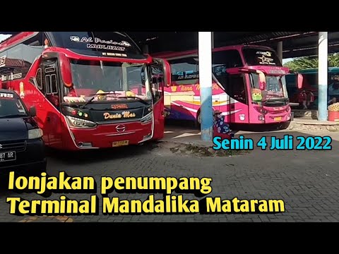 Lonjakan penumpang || keberangkatan bus Senin 4 Juli 2022 || Terminal ...
