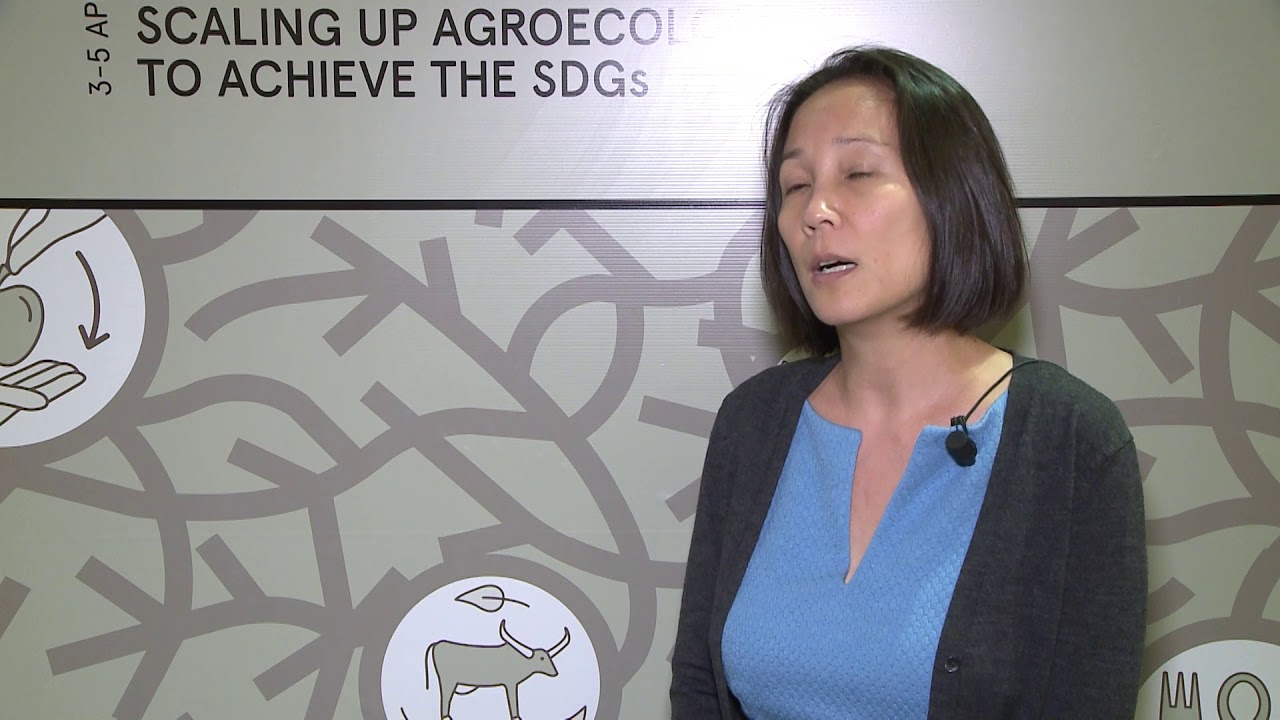 Lim Li Ching on establishing policies that promote agroecology - YouTube