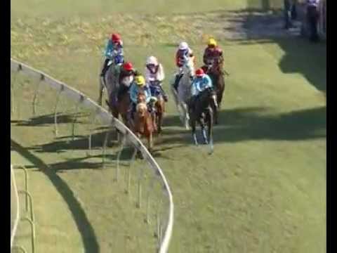 LA FOCE Winner Of STAYERS Cup 2011 With Yashin Emamdee - YouTube