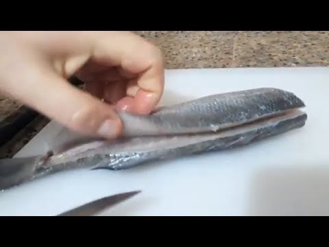 Levrek Fileto Çıkarma Nasıl Yapılır Levrek Fileto Nasıl Çıkarılır ? How to Sea Bass Fillet ?