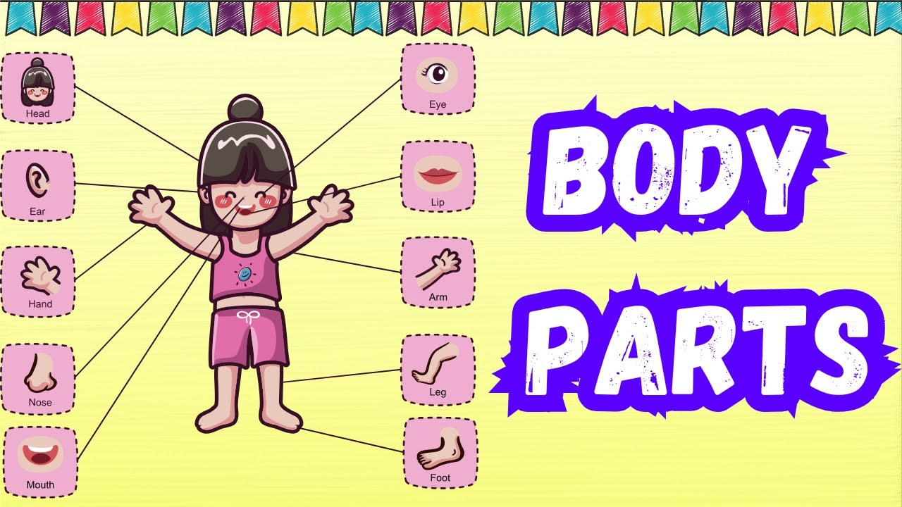 Learn Body Parts | Parts of the Body | Kids Learning Videos | Toddler ...
