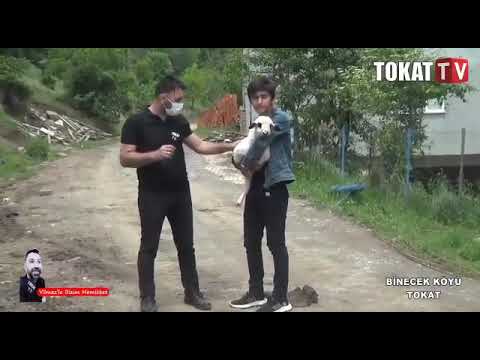 binecek köyü Tokat merkez Murat özkan röportaj