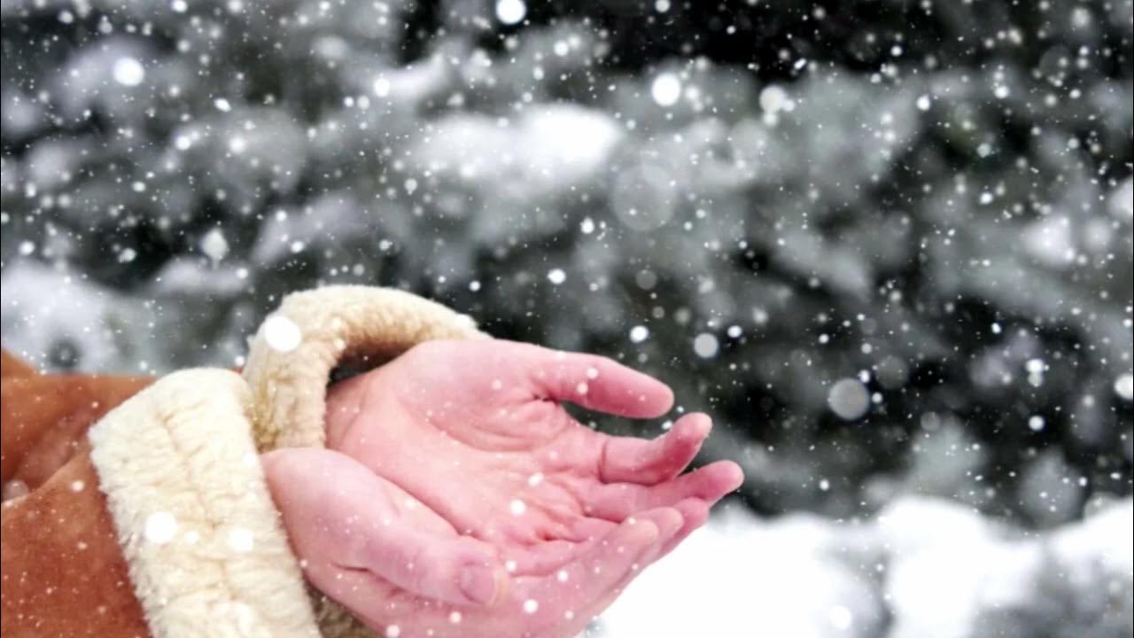 Ознайомлення з природним довкіллям. Тема "Сніг, сніжок кружляє". Ранній ...