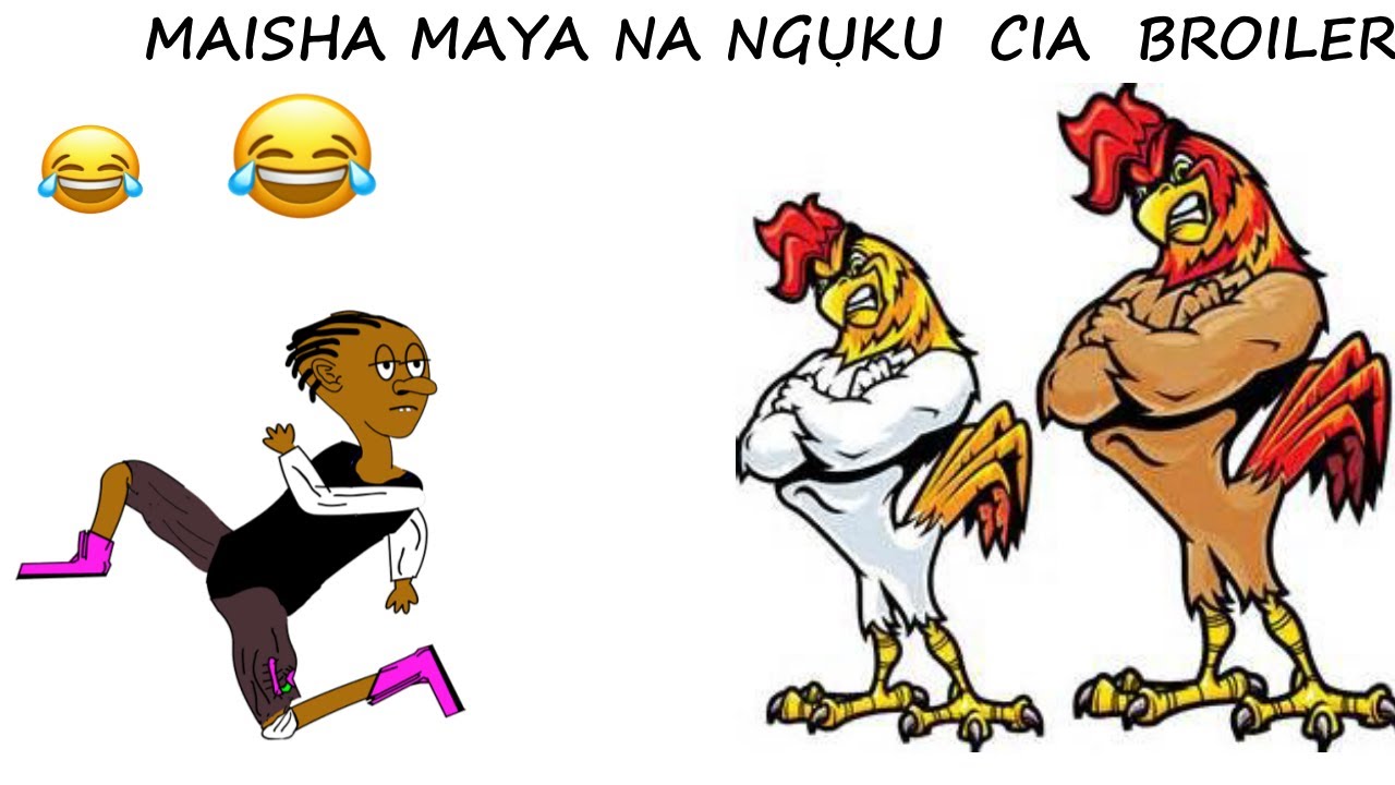 🤣🤣😂MAISHA MA NGŪKŪ CIA BROILER @iNooroTVKenya @MURURITV @Vincent ...