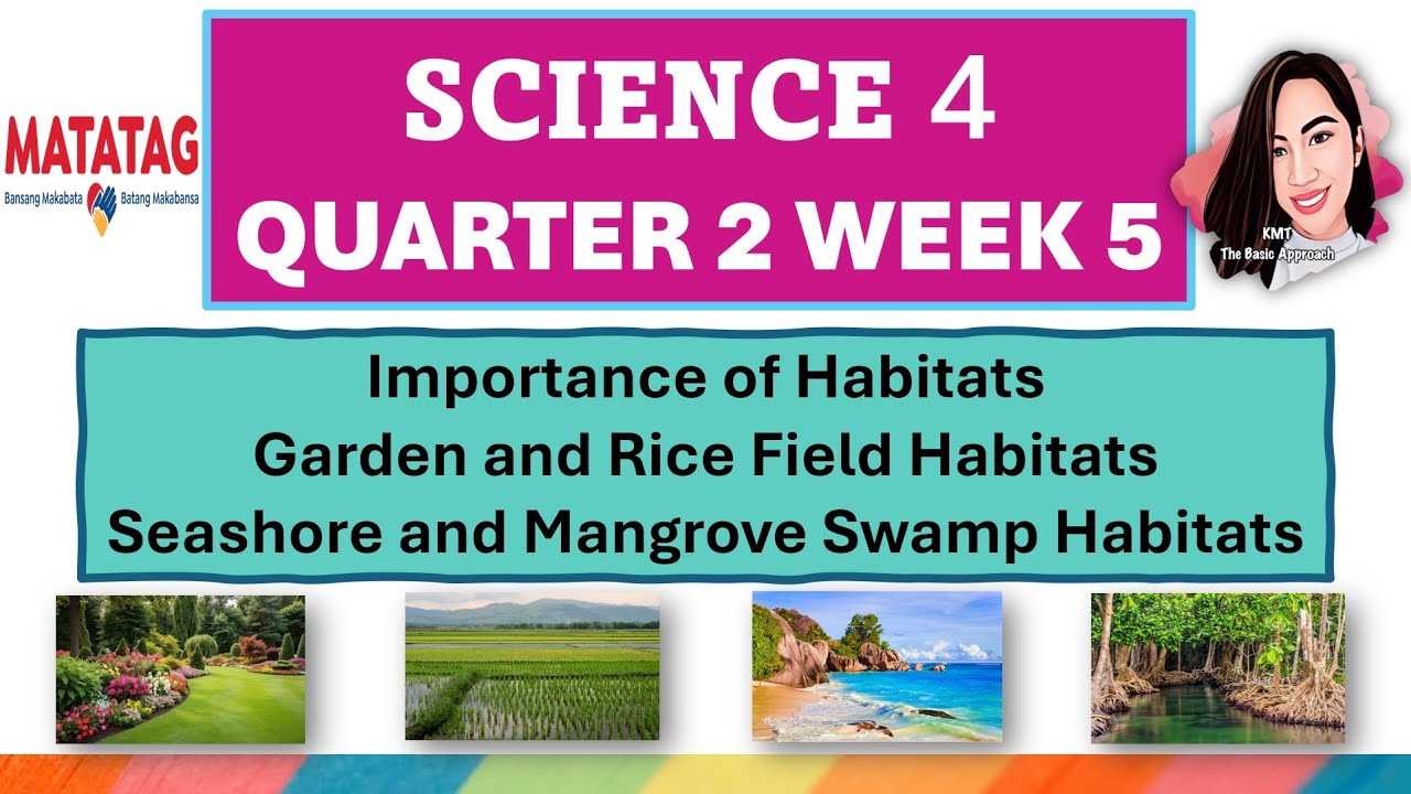SCIENCE 4 QUARTER 2 WEEK 5 IMPORTANCE OF HABITATS MATATAG CURRICULUM # ...