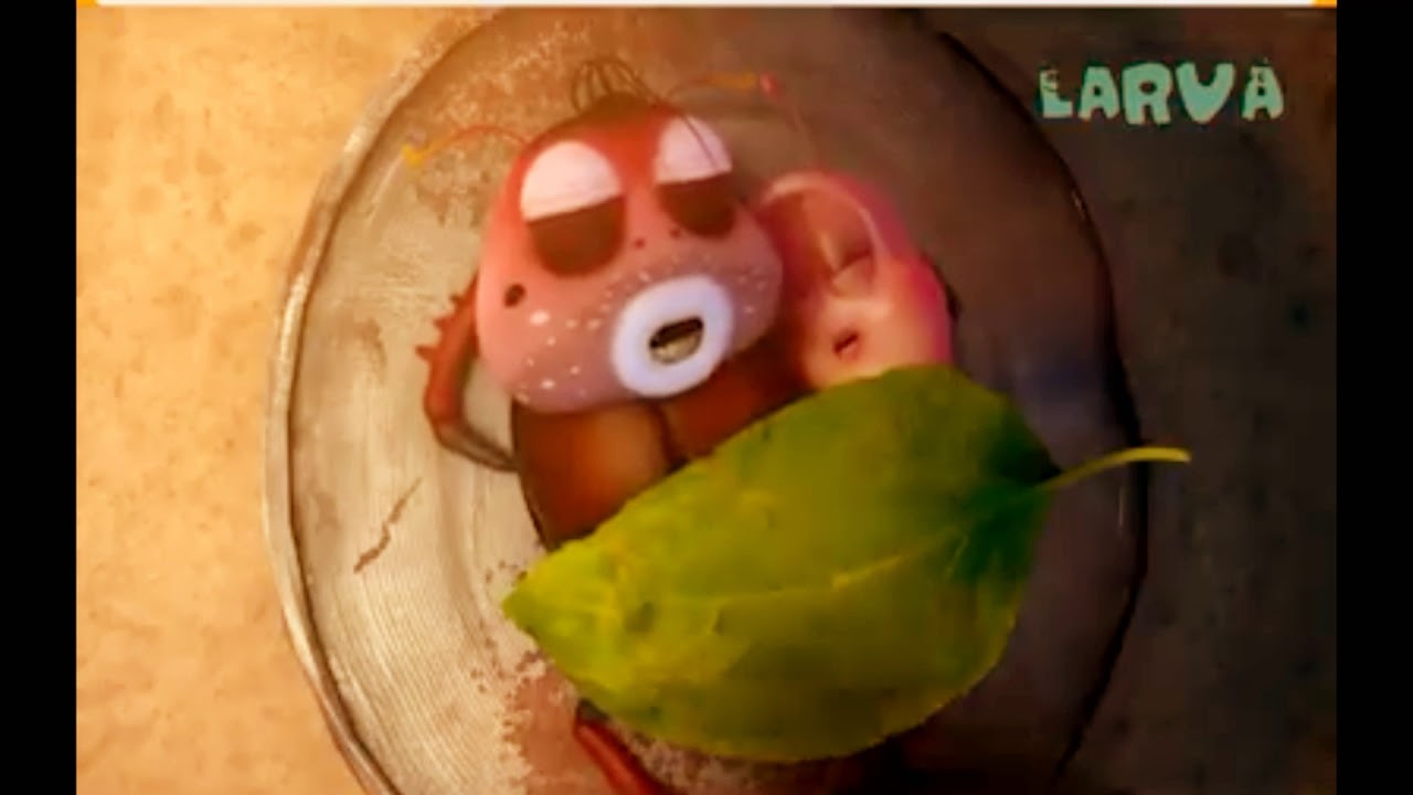 Larva Sad story | photograph - YouTube