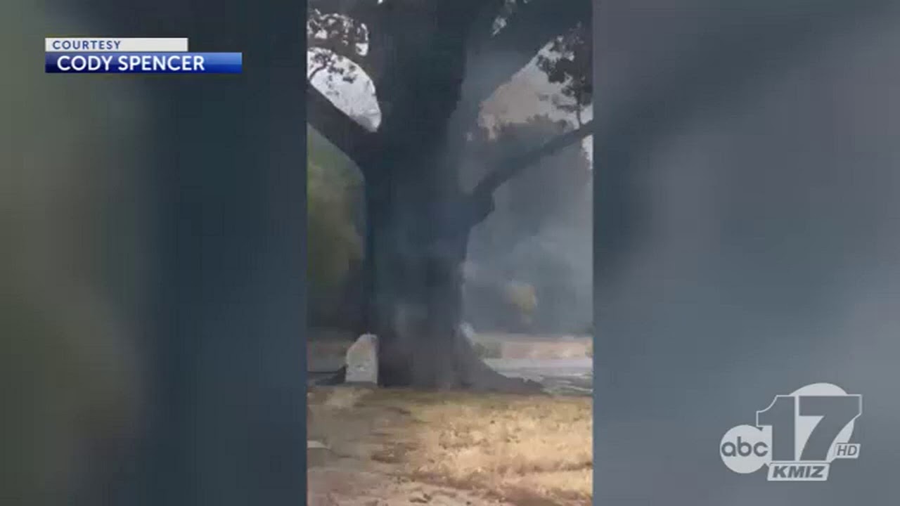 Courtesy video of bur oak tree fire - YouTube