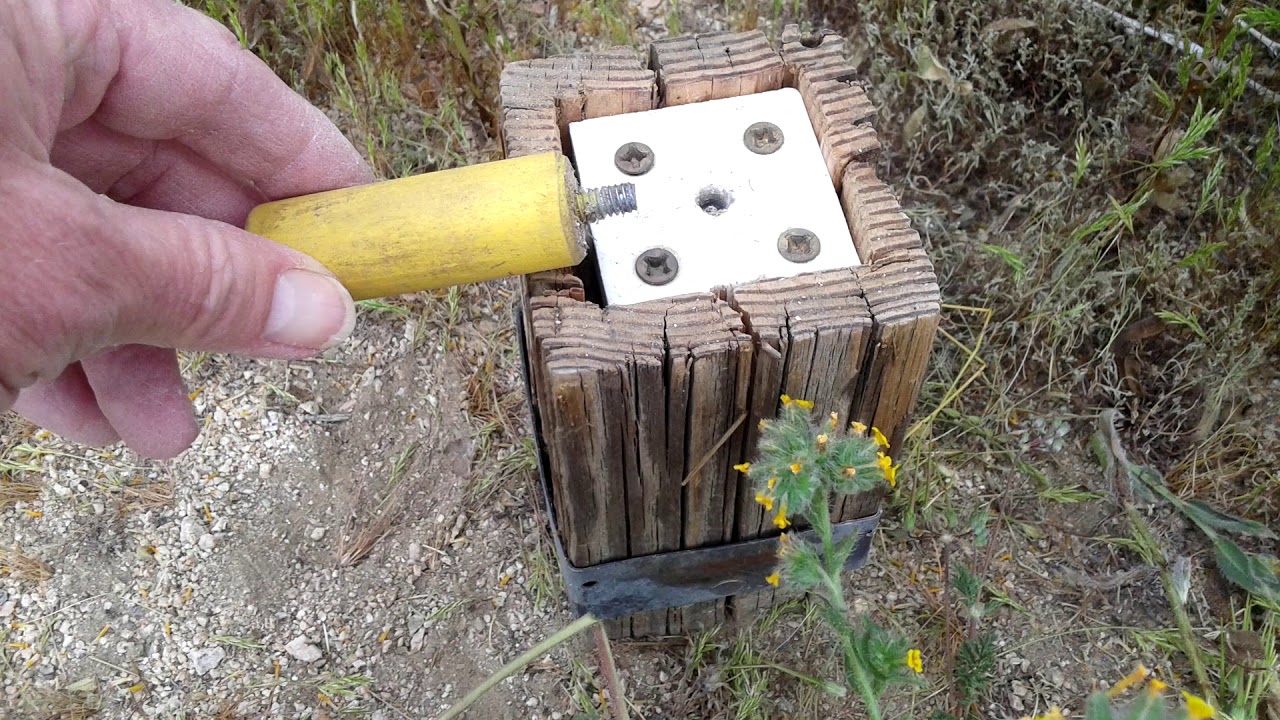 Geocaching Extreme Finds: RoombaCats, Part II - YouTube