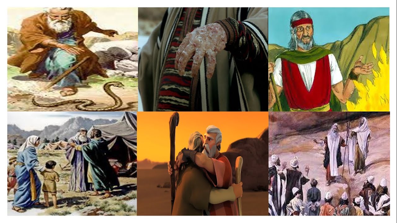 EXODO CAPITULO # 4 - YouTube