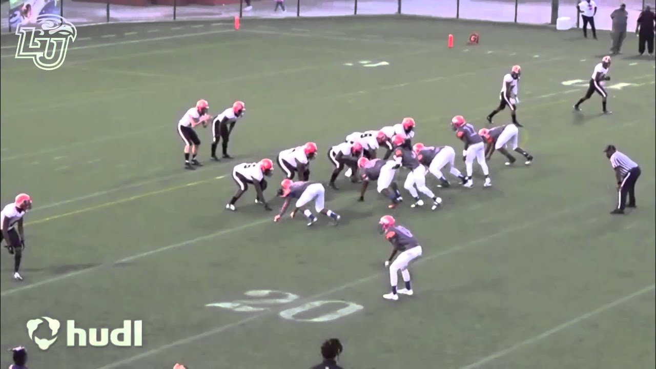 2016 Liberty Football Signing Day: Stephen "Buckshot" Calvert - YouTube