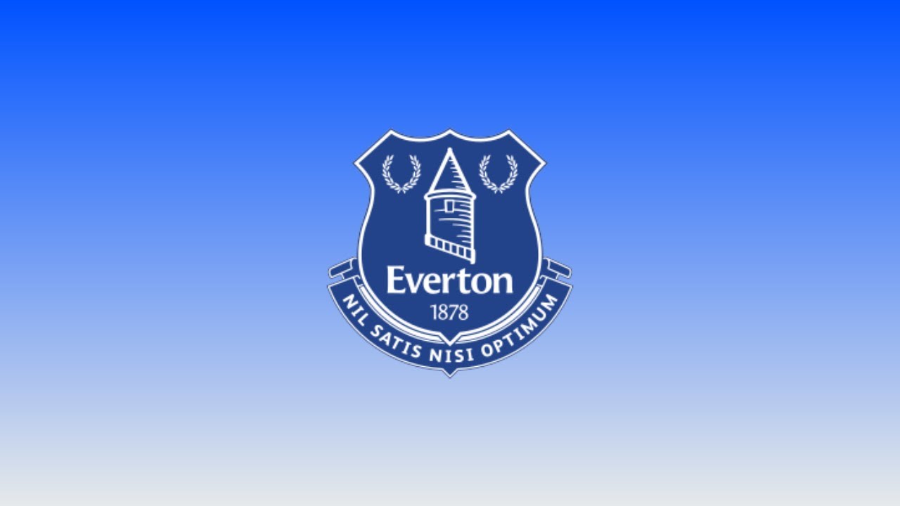 Everton Women 4-3-1-2/4-4-1-1 Tactics And Formations Brian Sørensen ...