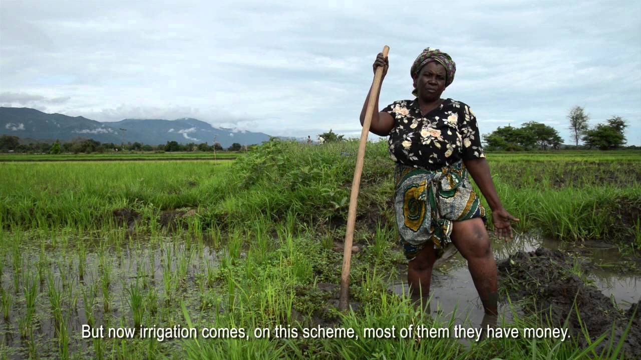 Supporting small-holder farmers creates lasting change - YouTube
