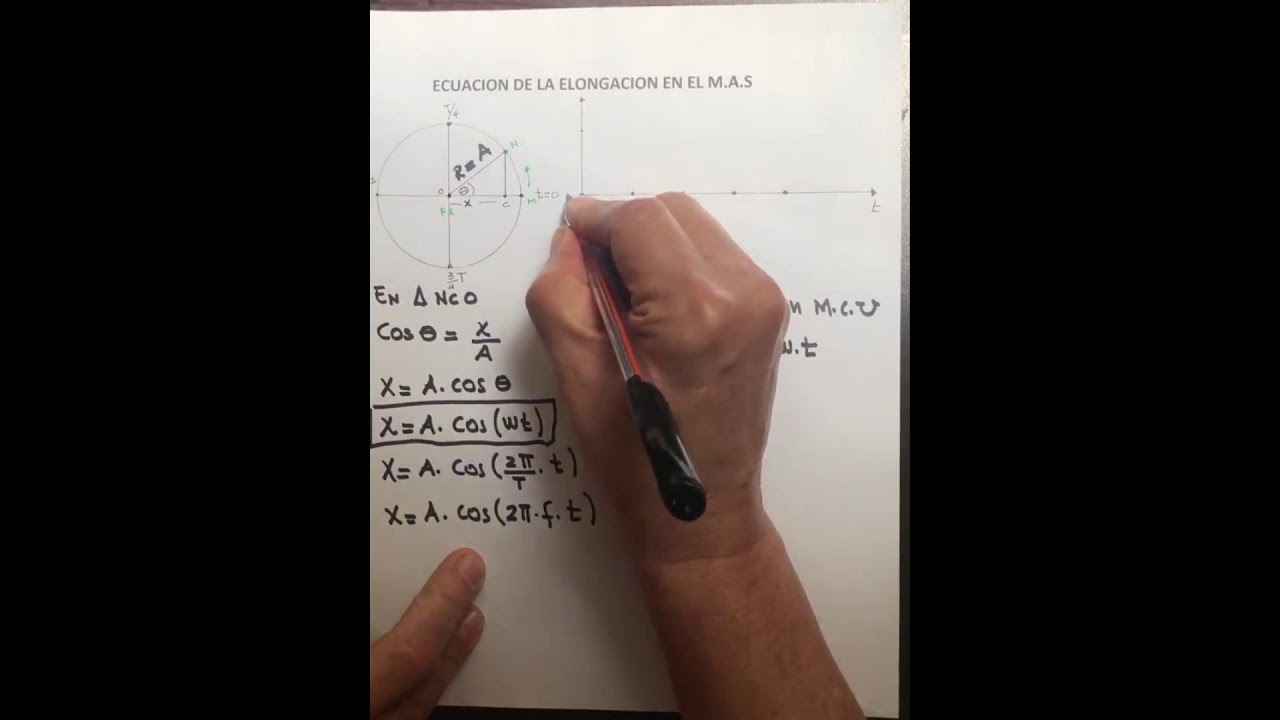 Clase N 9 Ecuación de la elongación en M.A.S - YouTube