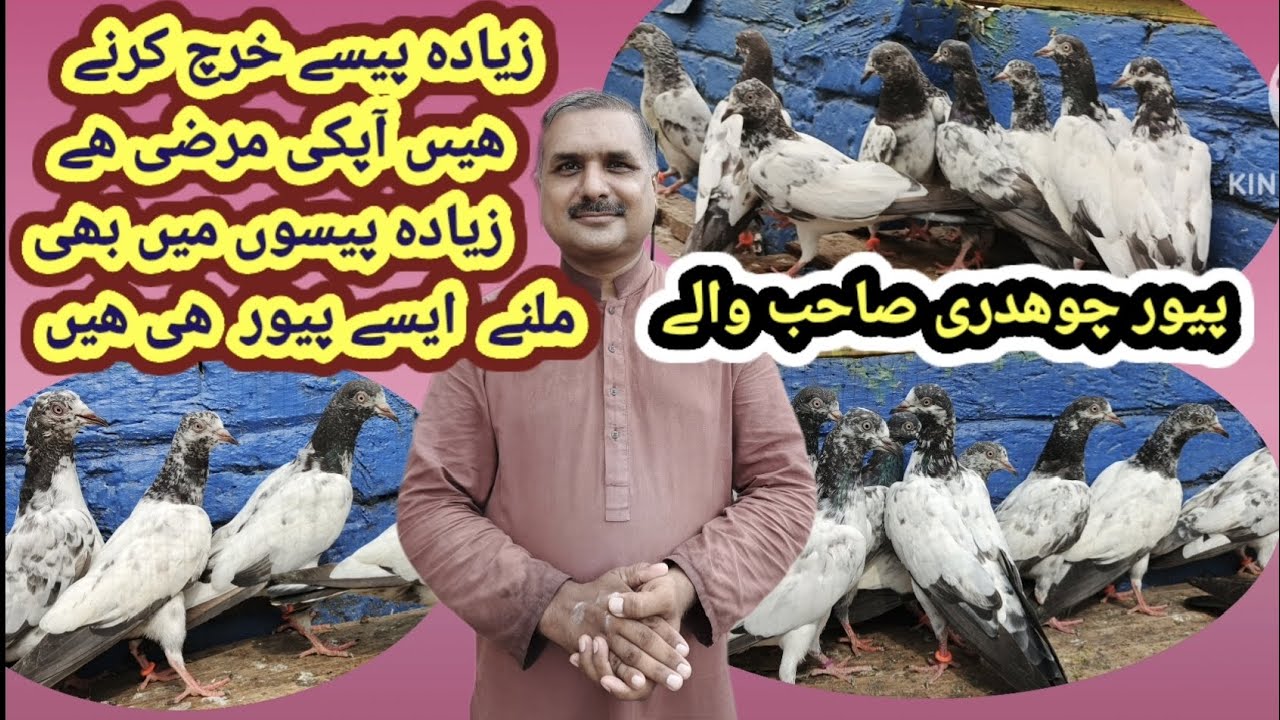 pure chohdri sahib ki breed ky pathiyan pathy - YouTube