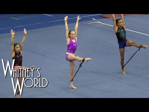 Bungee Cord Gymnastics | Resistance Training | Whitney Bjerken