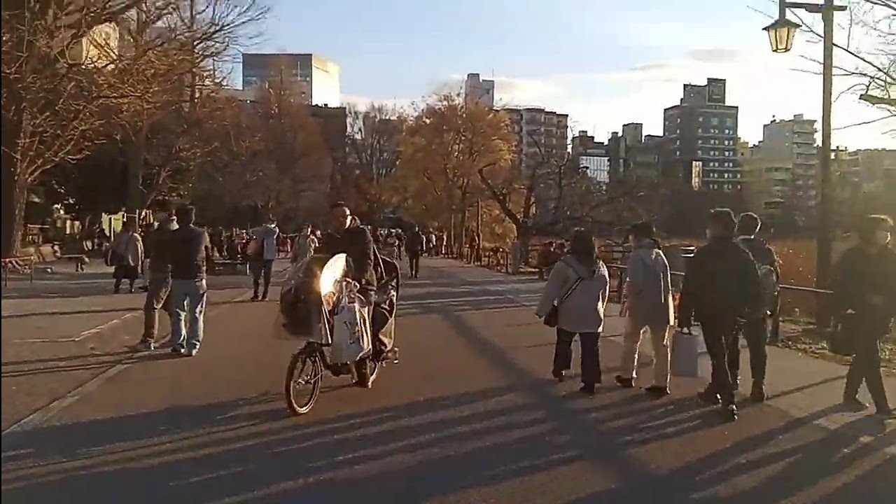 A Beautiful Park in the Middle of Tokyo 🗼 Journey Through Japan 🇯🇵 ...